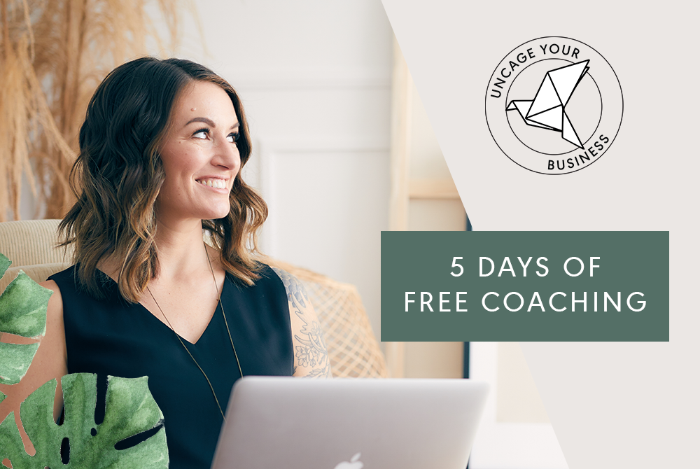 5 Days of Free Coaching!